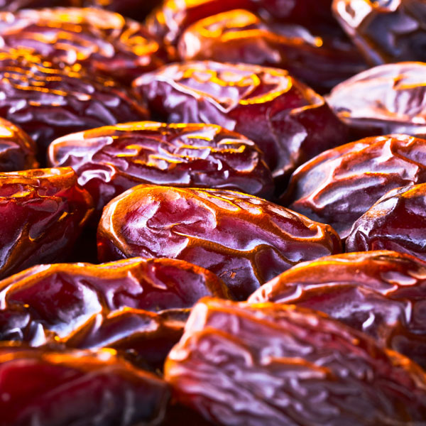 Extra Large Medjool Dates - 16oz – Whistleville Market